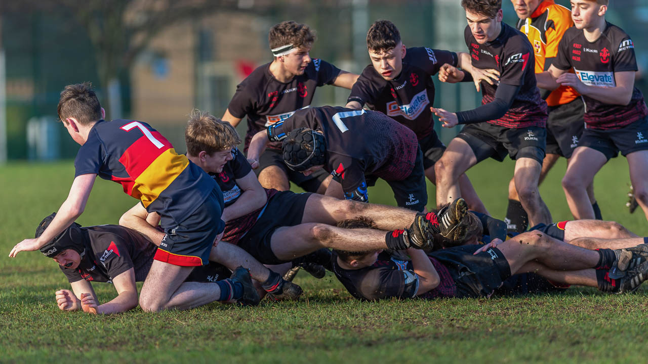 Medallion Shield: Regent House 24 Enniskillen Royal Grammar School 3 ...