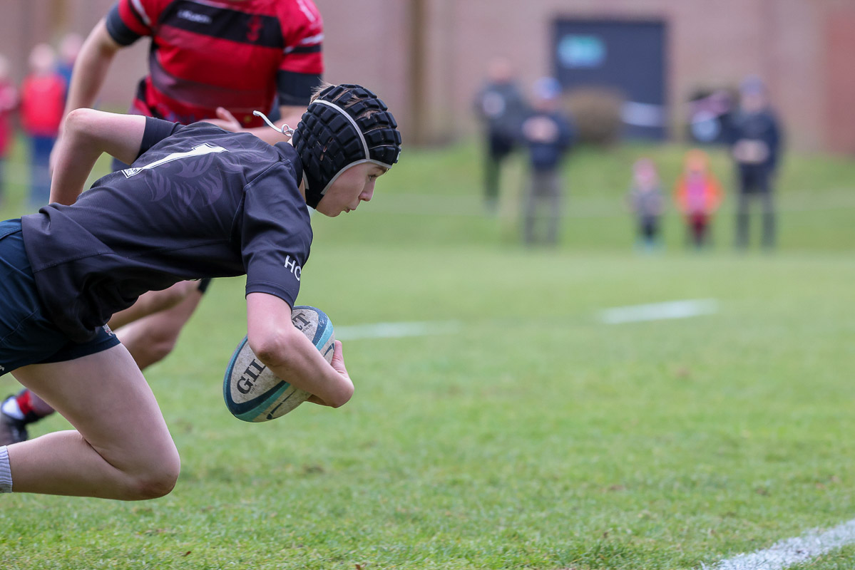 Medallion Shield: Campbell College 36 Regent House 12 Quarter Final ...