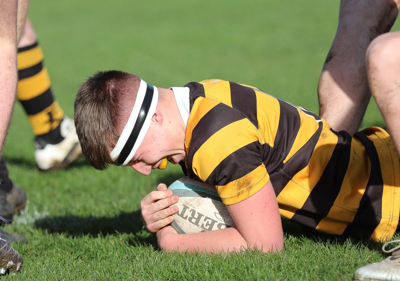 Medallion Shield: Royal Belfast Academical Institution 27 Campbell ...
