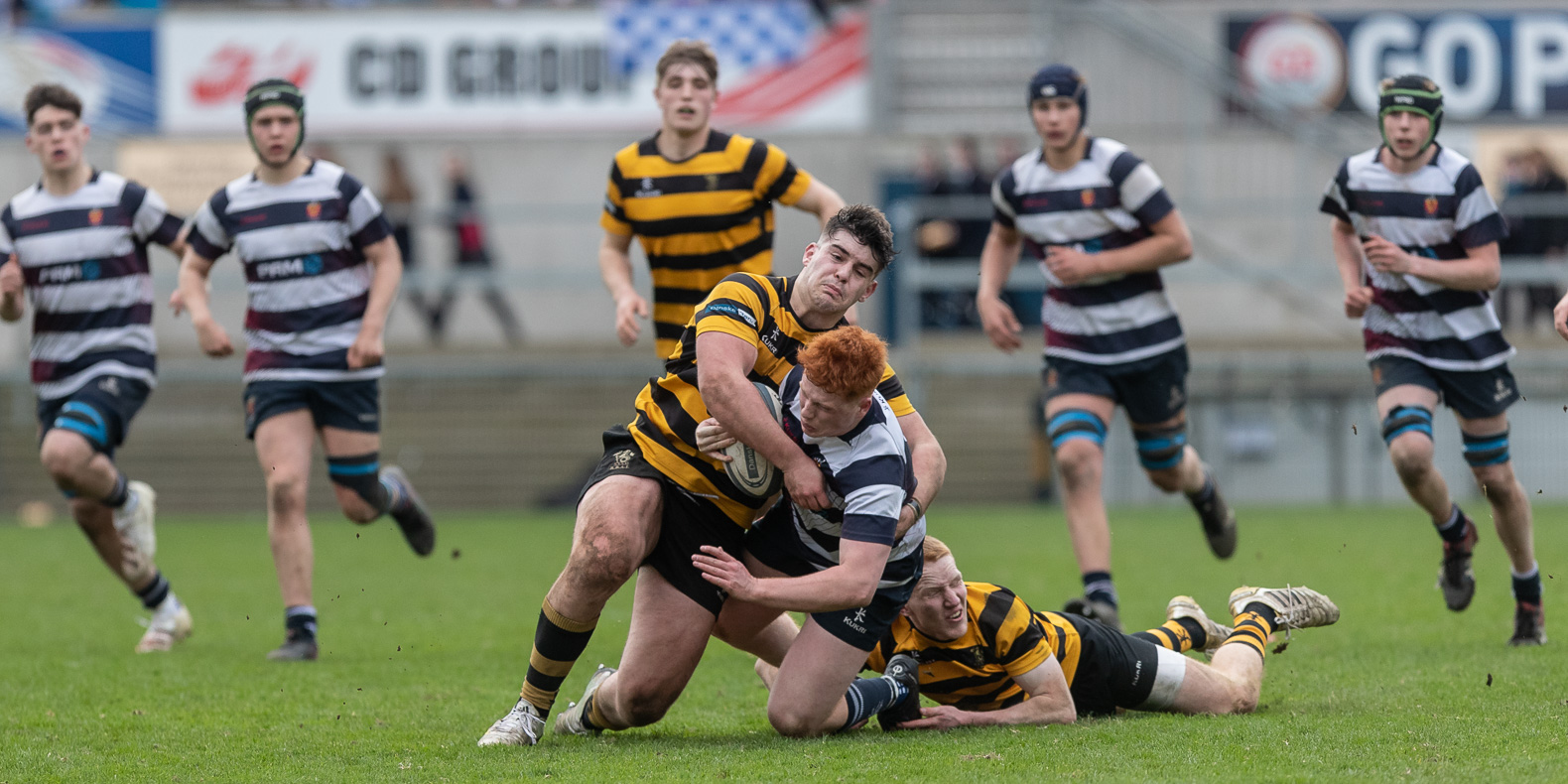 Schools Cup: Royal Belfast Academical Institution 31 Wallace High ...