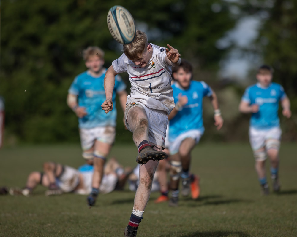 The Front Row Union Sport - Subsidiary Shield: Dromore High 12 Royal ...