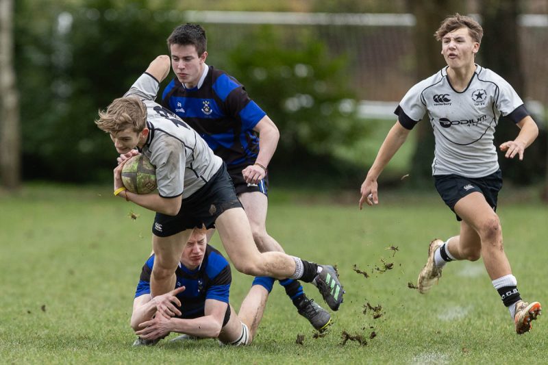 3rd XV Cup: Campbell College 57 Our Lady and St Patrick’s College Knock ...
