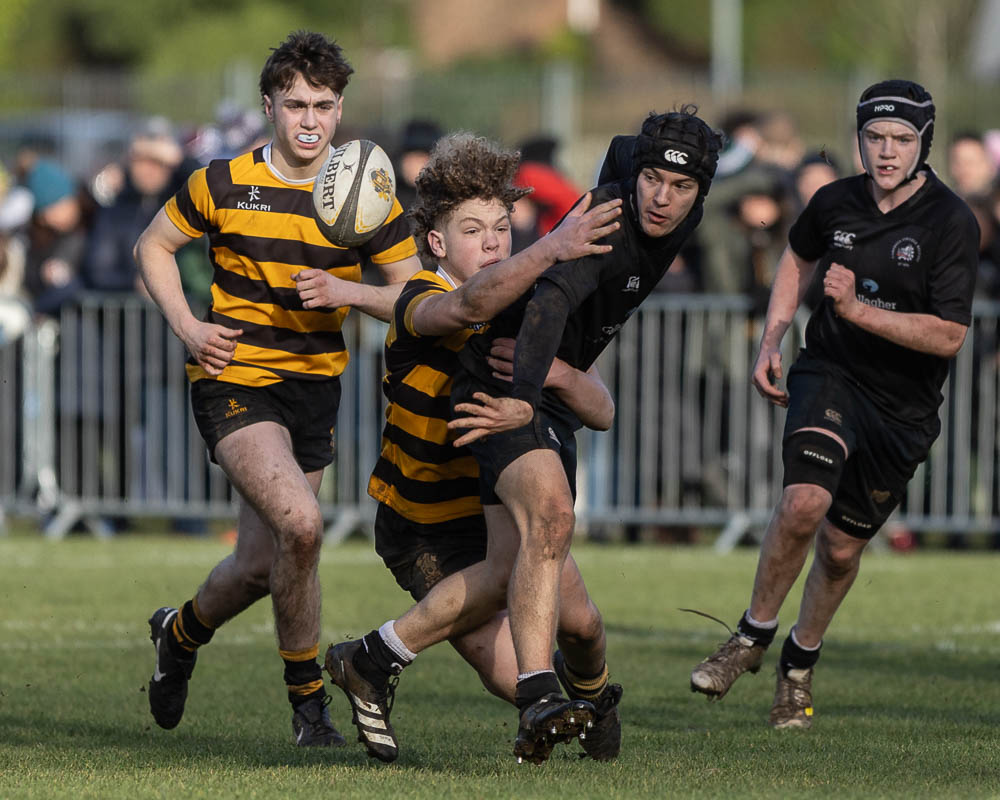 The Front Row Union Sport - Medallion Shield: Royal Belfast Academical ...