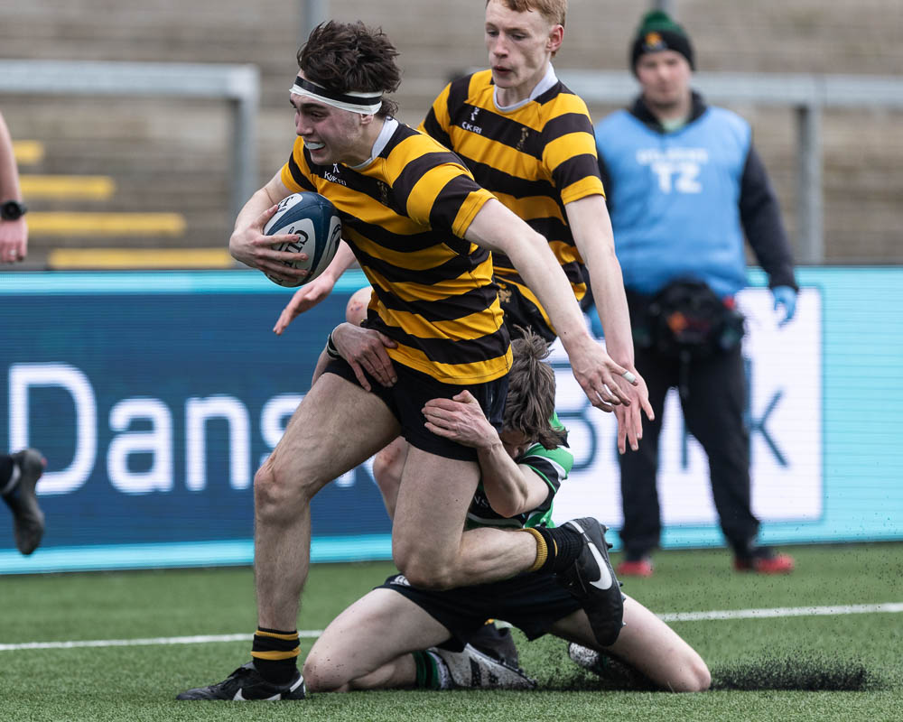The Front Row Union Sport - Medallion Shield: Royal Belfast Academical ...