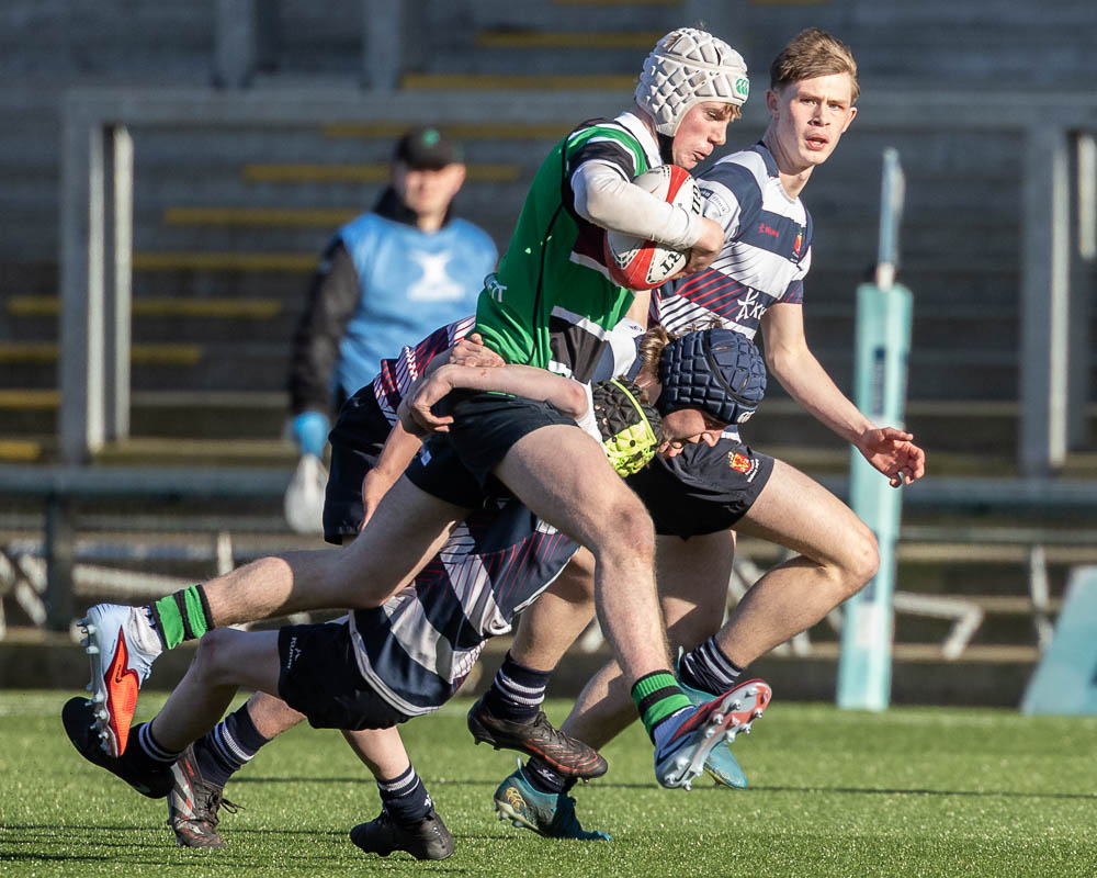 The Front Row Union Sport - Medallion Shield: Sullivan Upper School 17 ...